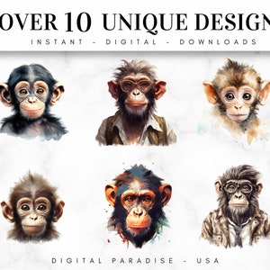 Set of 10, Monkeys Clipart, Jungle Animal PNG, Monkey Scrapbook, Monkey ...