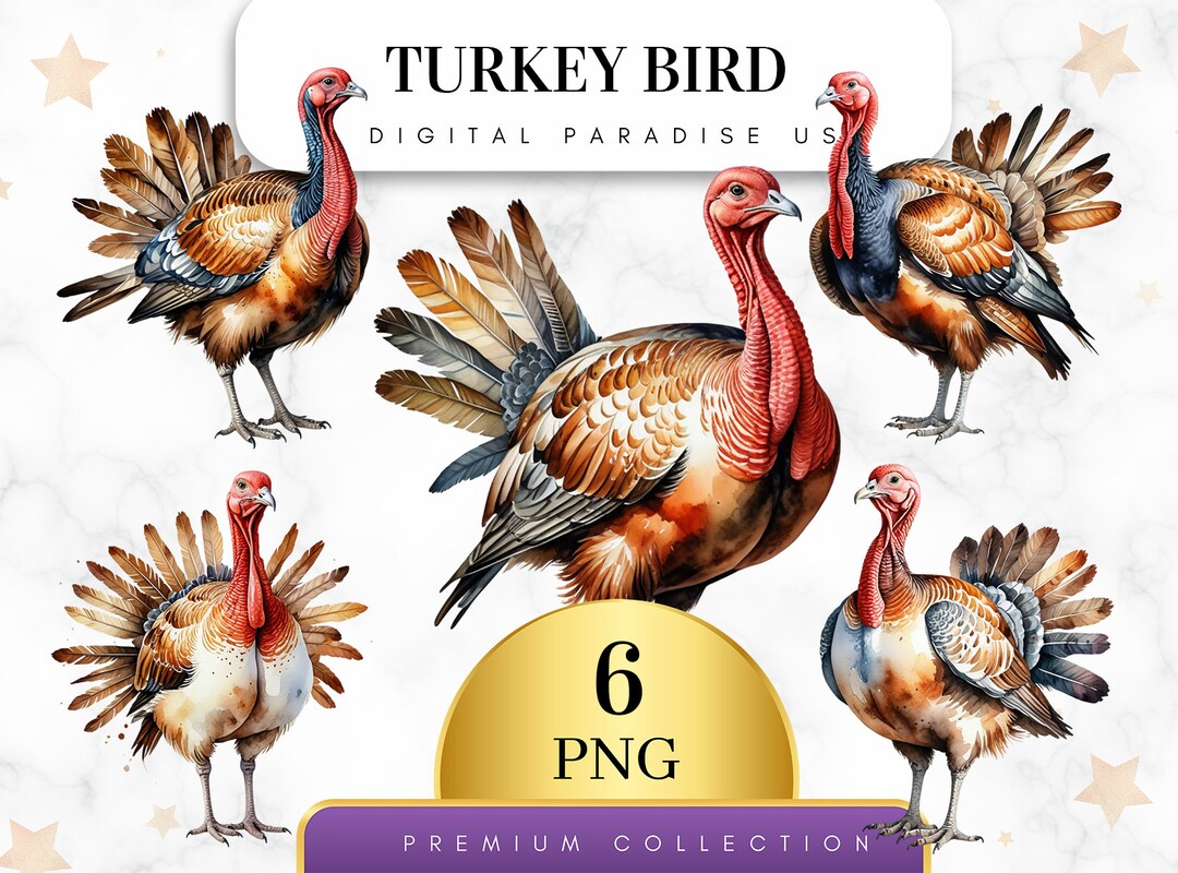 Set of 6, Watercolor Turkey Art, Thanksgiving Clipart, Fall Bird ...