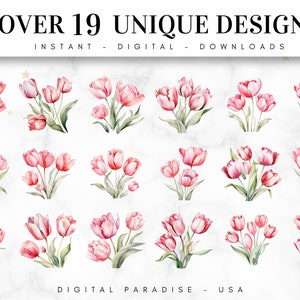Set of 19, Watercolor Pink Tulips, Pink Tulip PNG, Floral Clipart ...