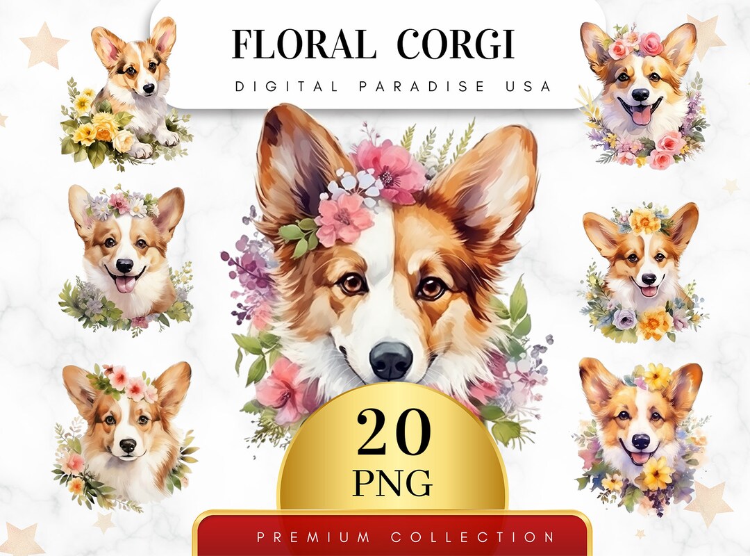 Set of 20, Floral Corgi Clipart, Corgi PNG, Dog Clipart, Cute Corgi ...