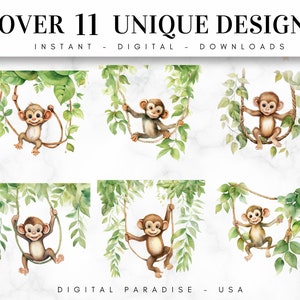Set of 11, Baby Monkey Nature Clipart, Cute Monkey PNG, Jungle Animal ...