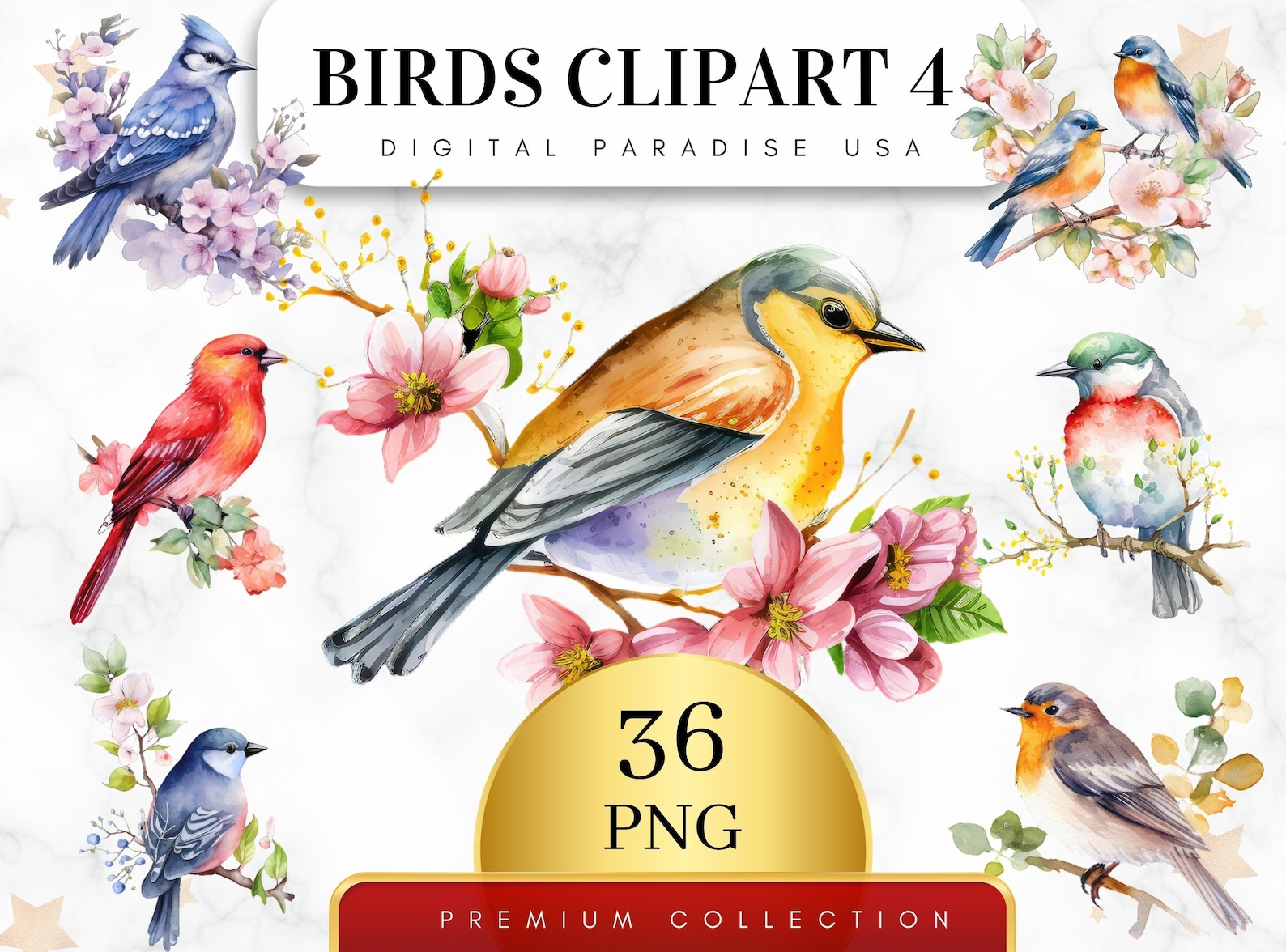 Set of 36, Watercolor Birds Clip Art, Colorful Birds Clipart, Spring ...
