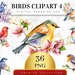 Set of 36 Watercolor Birds Clip Art Colorful Birds Clipart - Etsy