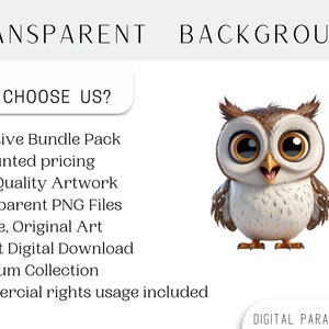 Set of 8, Happy Owl Clipart Bundle, Cute Owl PNG, Woodland Animal ...