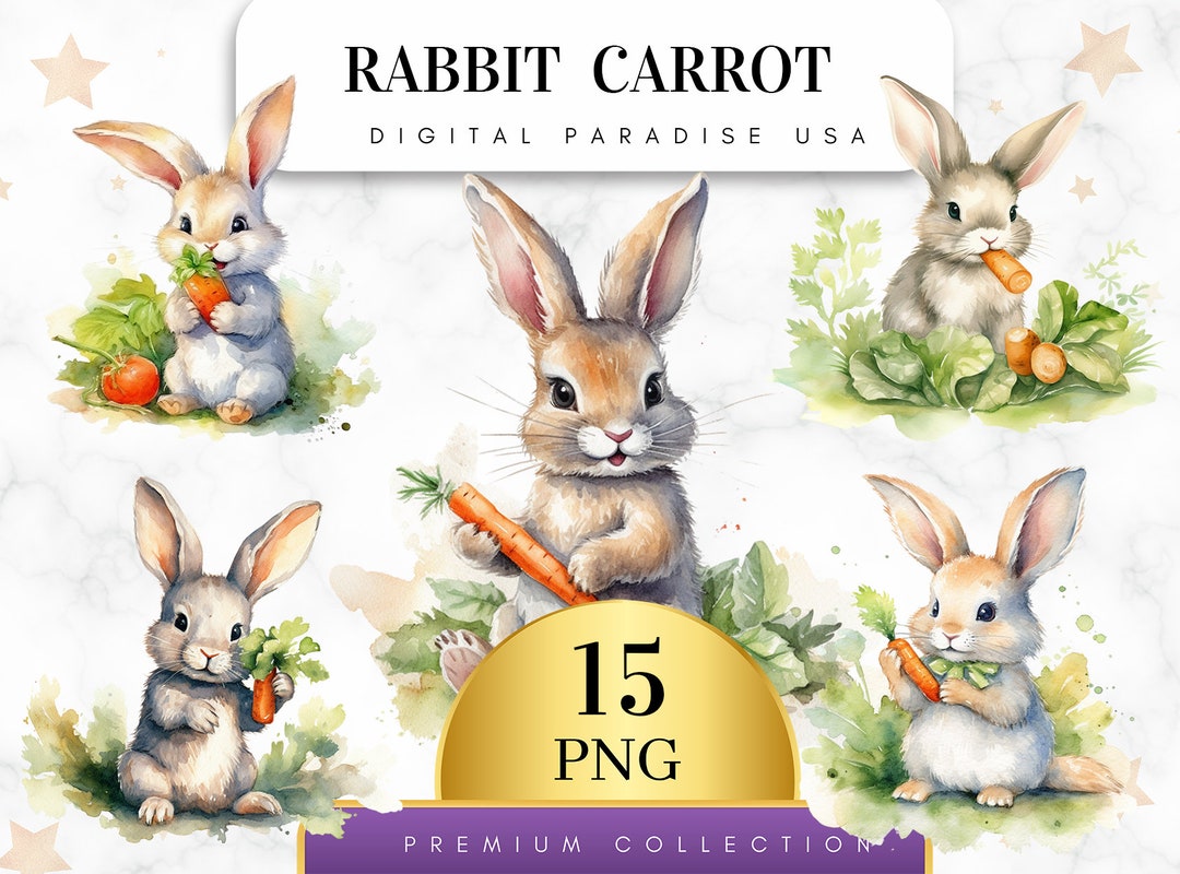 Set of 15, Watercolor Rabbit Carrot Clipart, Rabbit Clipart, Carrot PNG ...