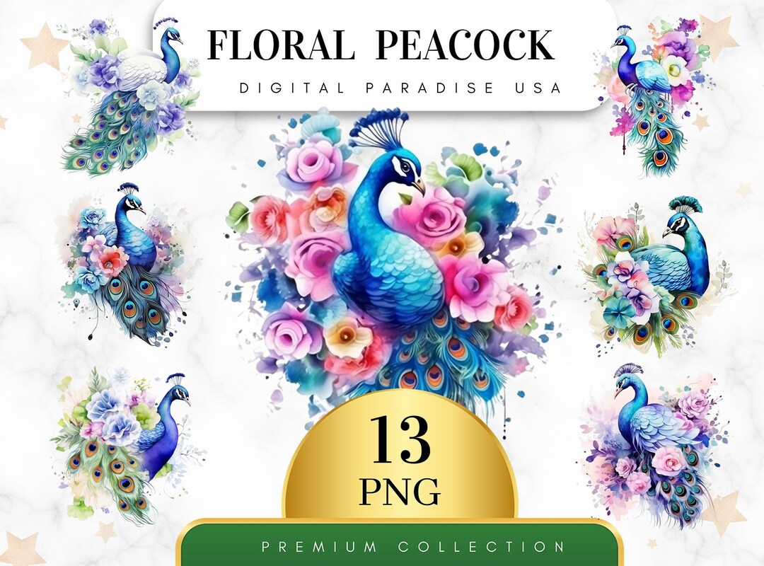 Set of 13, Floral Peacock Clipart, Peacock PNG, Watercolor Peacock ...