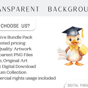 Set of 14, Duck Graduation Clipart, Duck PNG, Graduation Cap Clipart ...