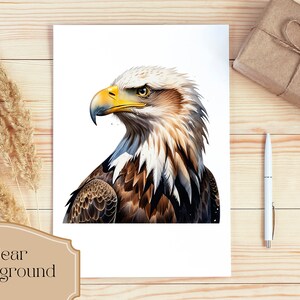 Set of 10, Bald Eagle Clipart, Eagle PNG, Wildlife Clipart, Bird ...