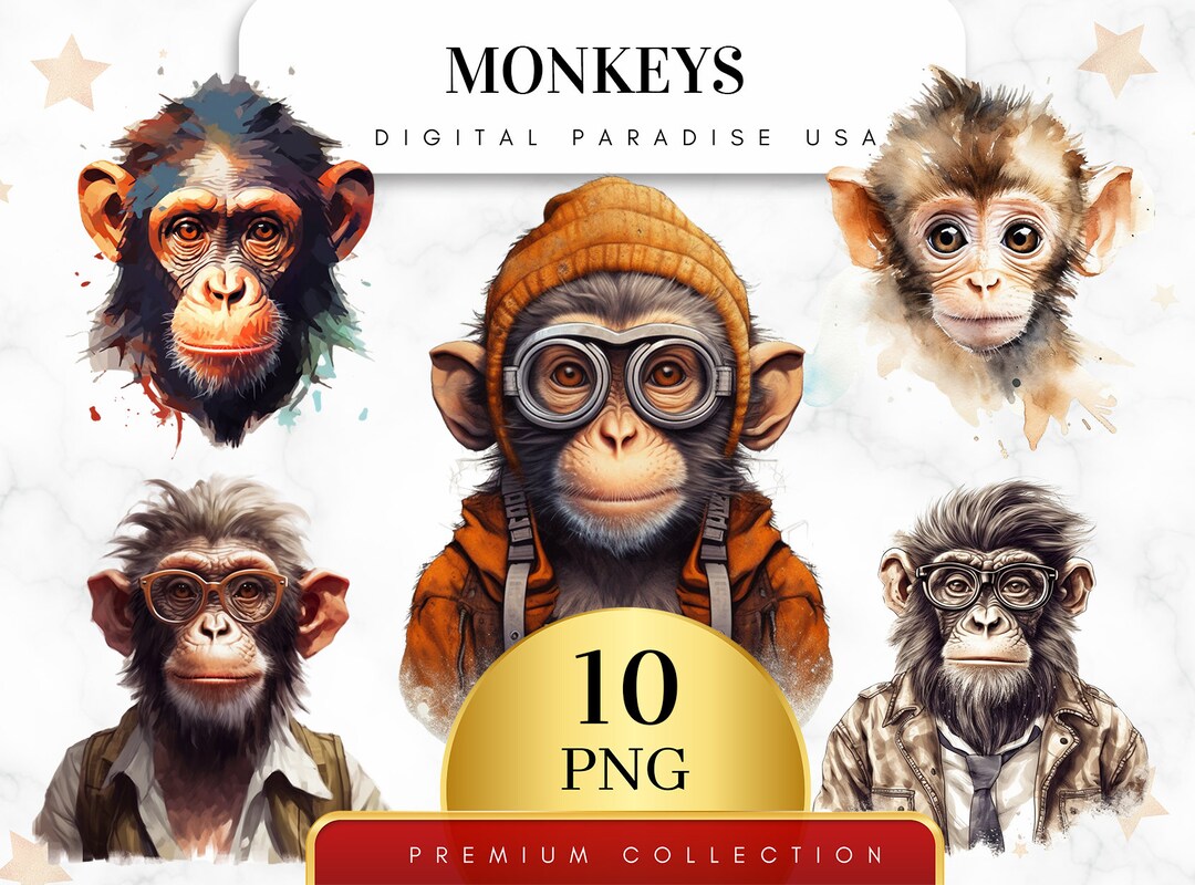 Set of 10, Monkeys Clipart, Jungle Animal PNG, Monkey Scrapbook, Monkey ...