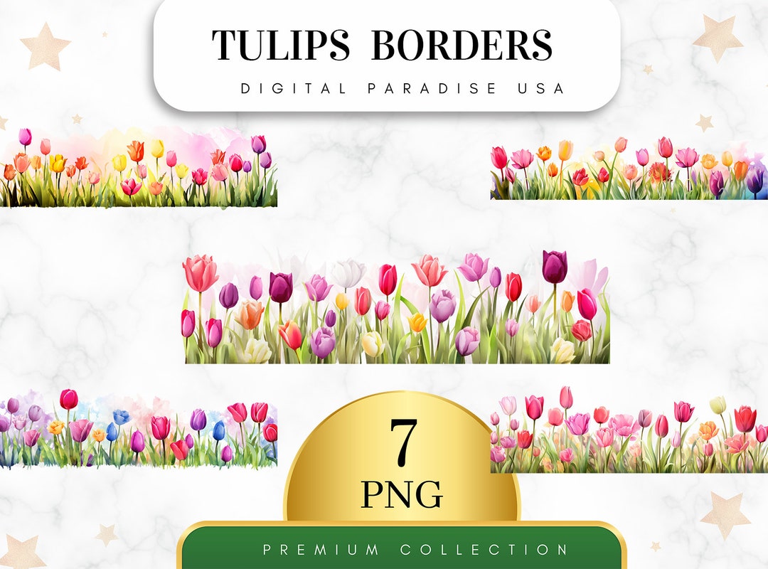 Set of 7, Watercolor Tulips Borders Clipart, Tulip Clipart, Tulip PNG ...