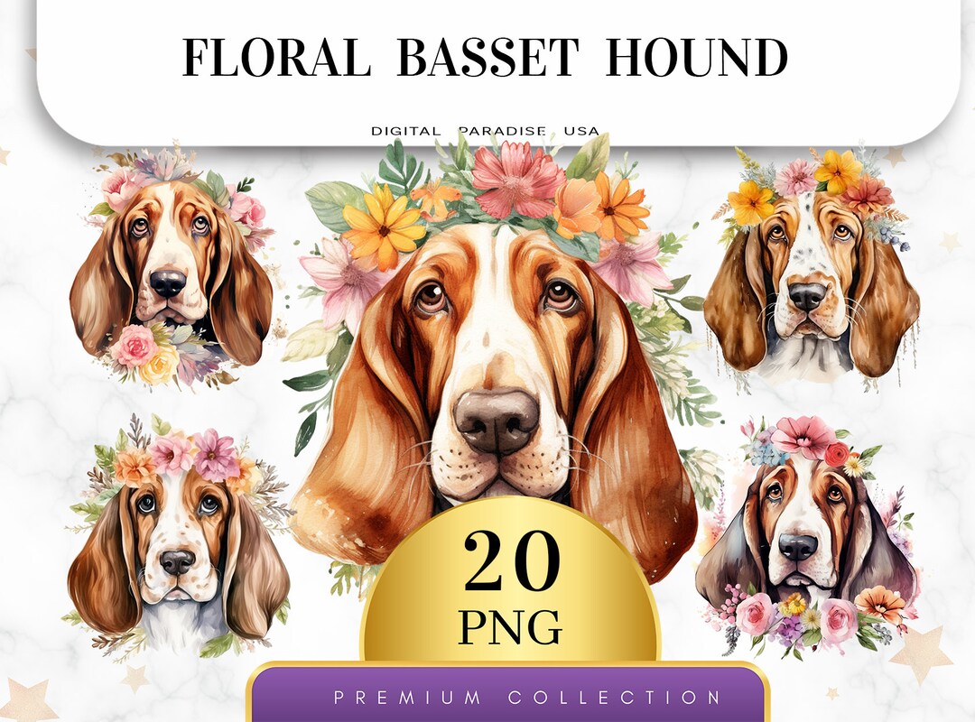 Set of 20, Floral Basset Hound Clipart, Basset Hound PNG, Flower Basset ...