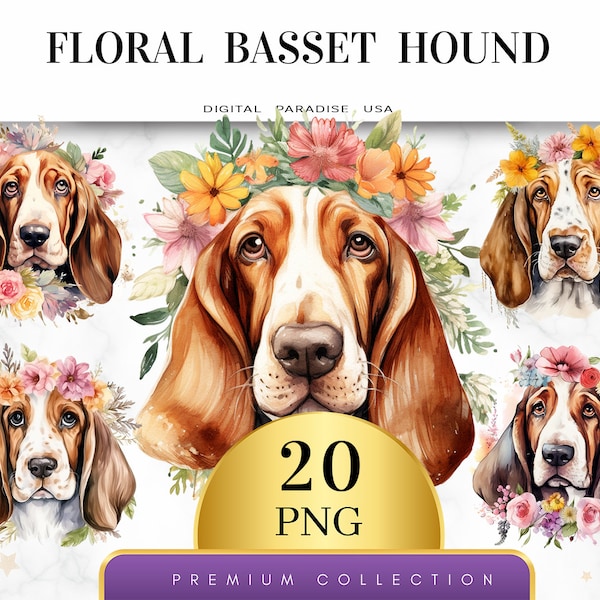 Basset Hound Clipart - Etsy