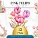 Set of 12, Watercolor Pink Tulips Clipart, Tulips PNG, Floral Clipart ...