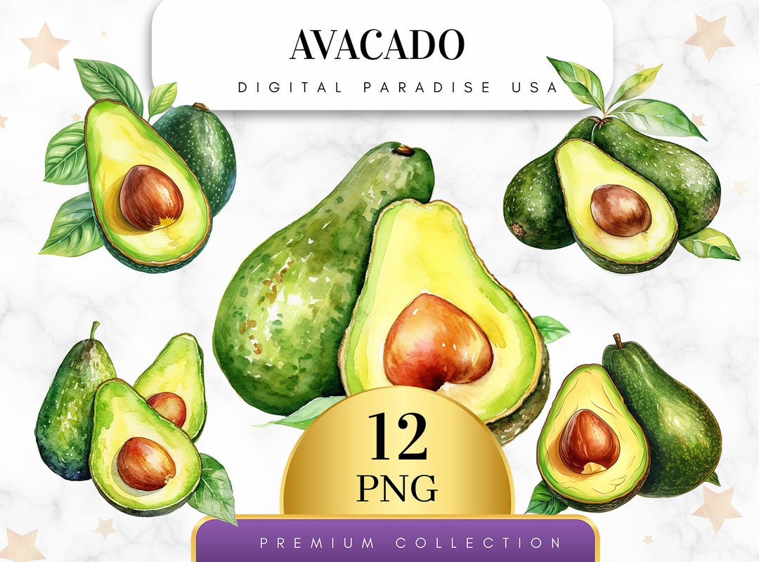 Set of 12, Watercolor Avocado, Avocado Clipart, Avocado PNG, Fruit ...