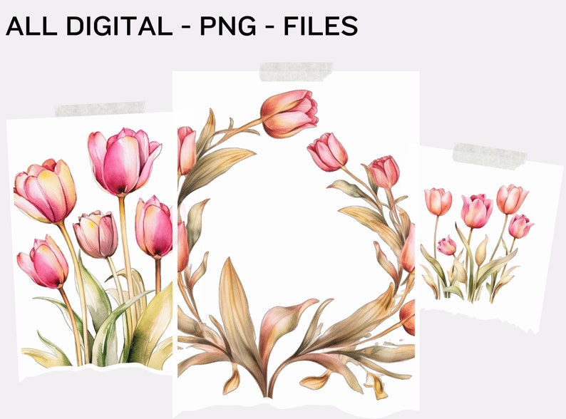Set of 12 Watercolor Pink Tulips Clipart Tulips PNG Floral - Etsy