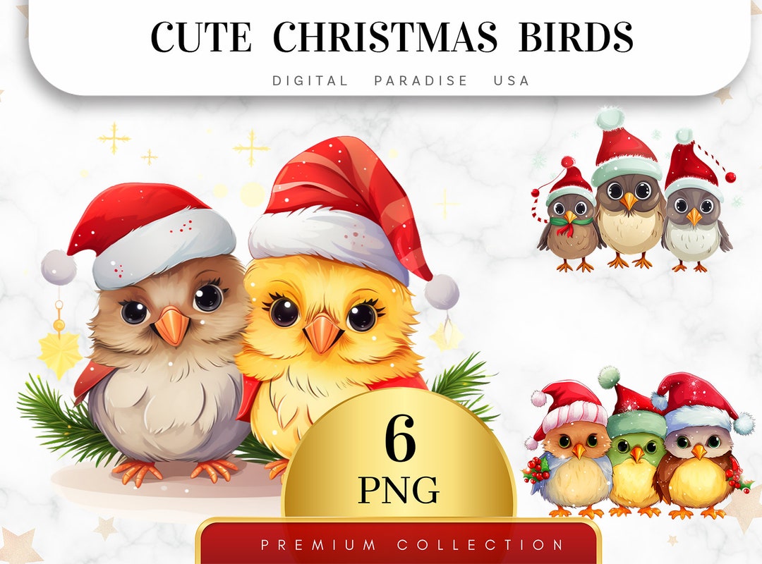 Set of 6, Cute Christmas Birds Clipart, Christmas Birds PNG, Birds ...