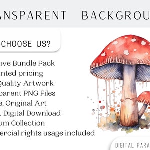 Set of 24, Watercolor Fantasy Mushrooms, Fantasy Mushroom Png, Fantasy ...