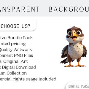 Set of 7, Happy Falcon Clipart, Falcon PNG, Cute Bird Clipart, Kids ...