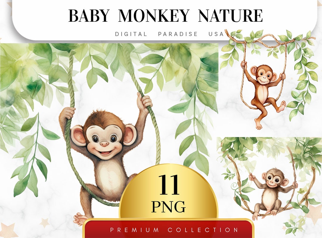Set of 11, Baby Monkey Nature Clipart, Cute Monkey PNG, Jungle Animal ...