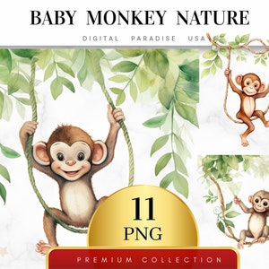Set of 11, Baby Monkey Nature Clipart, Cute Monkey PNG, Jungle Animal ...