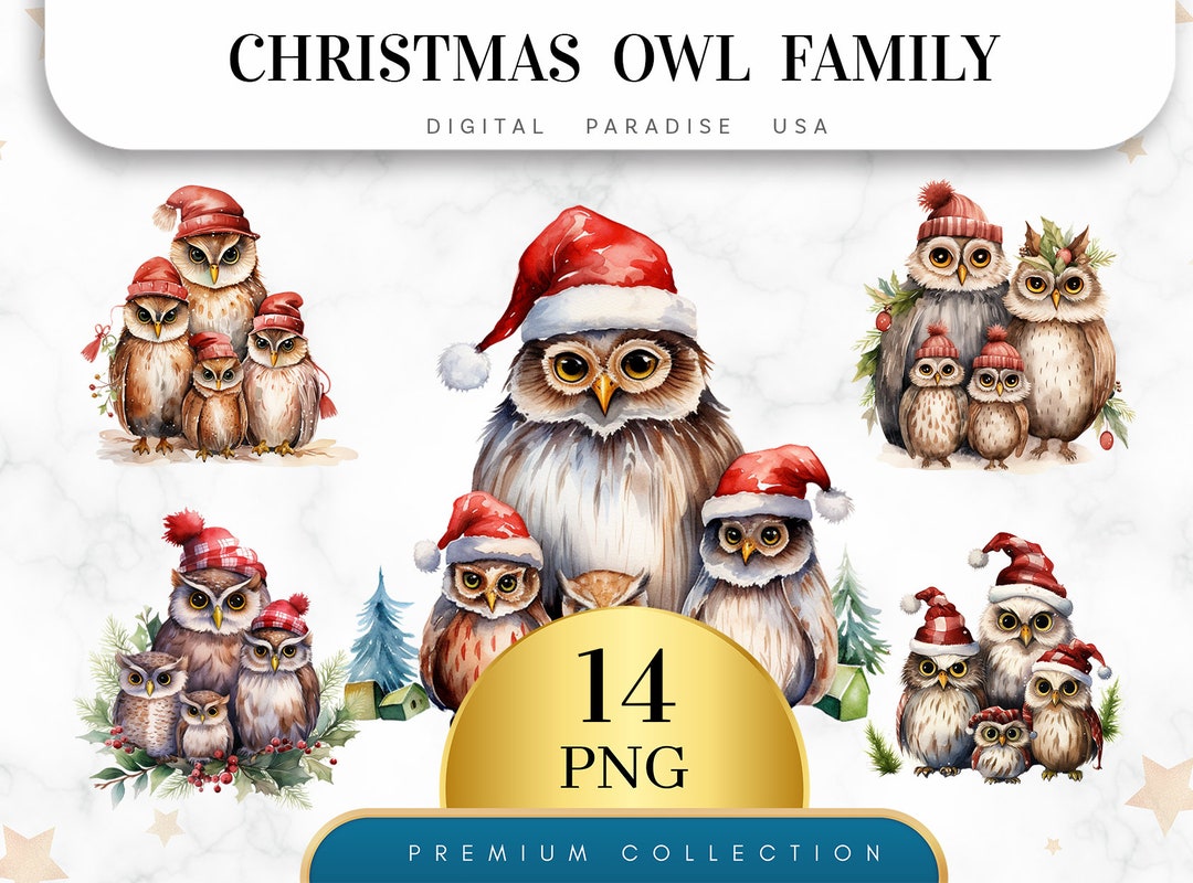 Set of 14, Christmas Owl Family Clipart, Owl Clipart, Owl PNG, Holiday ...