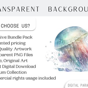 Set of 4, Watercolor Jellyfish Clipart, Cute Nautical Ocean Animals PNG ...