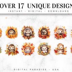 Set of 17 Hedgehog Autumn Clipart Hedgehog Clipart Hedgehog - Etsy