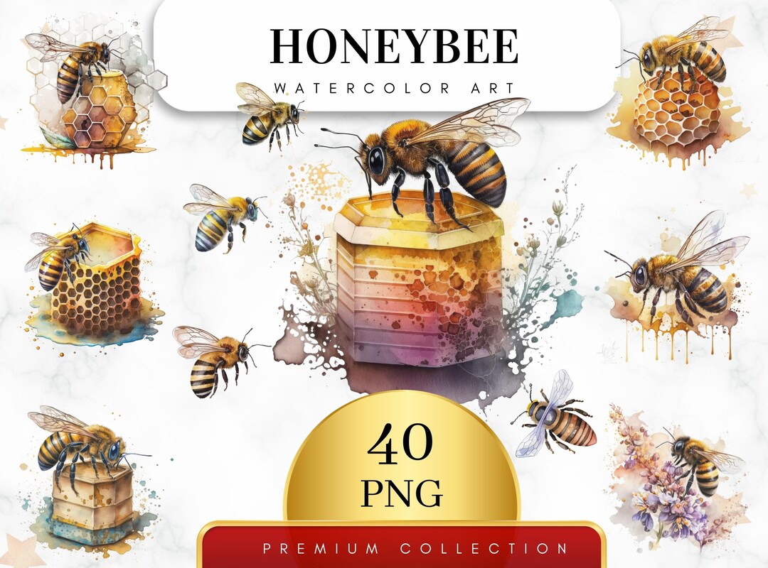 Set of 40, Watercolor Honey Bee Clipart, Bee PNG, Summer Clipart ...