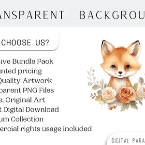 Set of 12, Cute Fox Clipart, Fox PNG, Woodland Animal, Fox Illustration ...