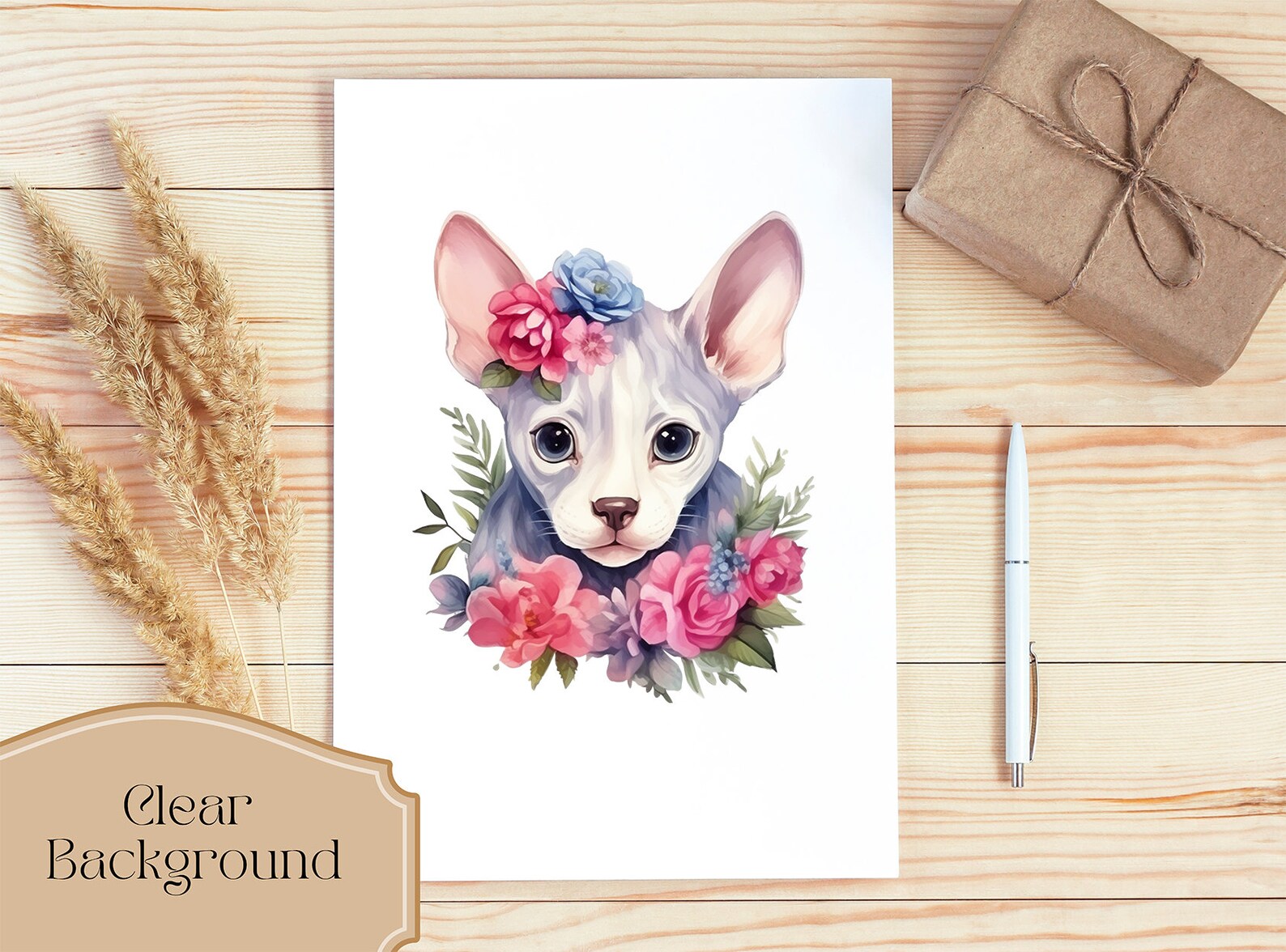 Set of 12, Floral Sphynx Cat Clipart, Sphynx Cat PNG, Floral Cat Art ...