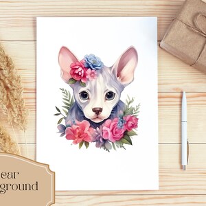 Set of 12, Floral Sphynx Cat Clipart, Sphynx Cat PNG, Floral Cat Art ...
