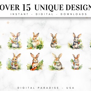 Set of 15, Watercolor Rabbit Carrot Clipart, Rabbit Clipart, Carrot PNG ...