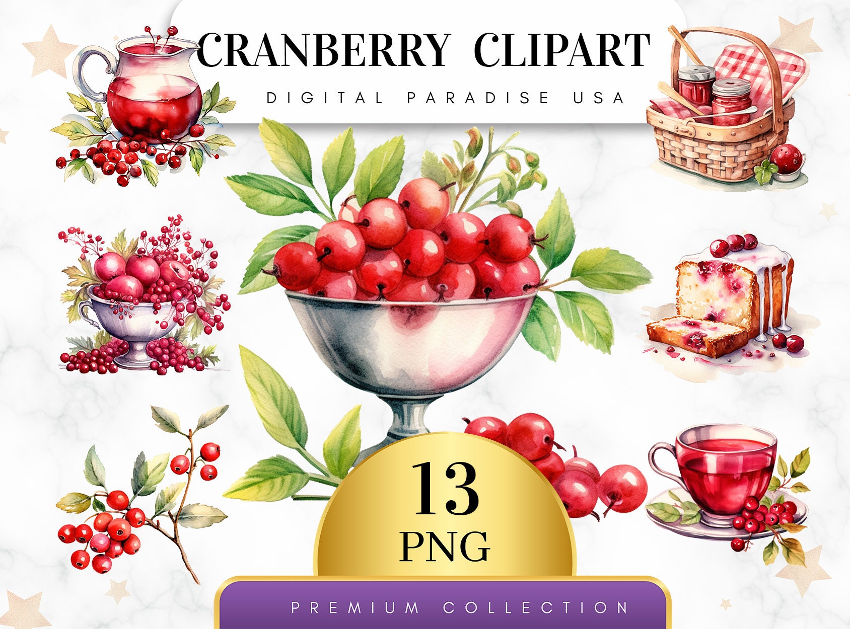 Cranberries Clip Art
