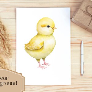 Set of 40, Watercolor Chicks Clipart Bundle, Cute Baby Chickens, Easter ...