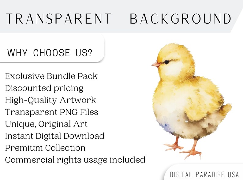 Set of 40, Watercolor Chicks Clipart Bundle, Cute Baby Chickens, Easter ...