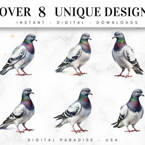 Set of 8, Pigeon Clipart, Cute Bird PNG, Watercolor Pigeon, Bird ...