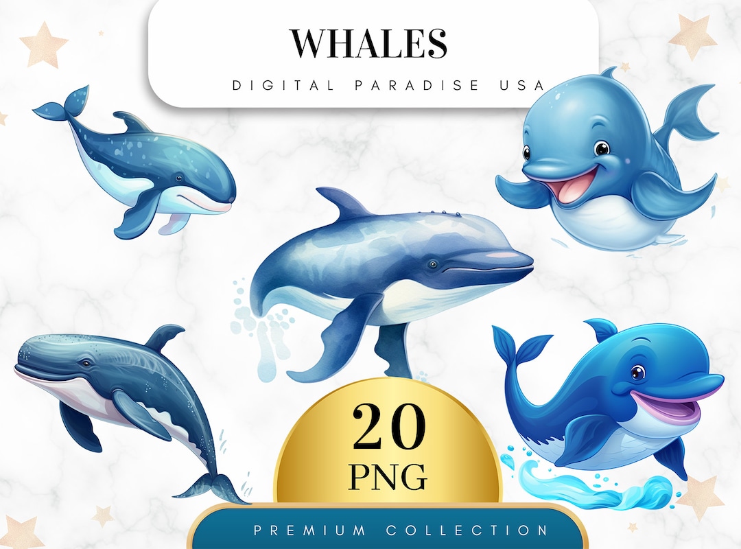Set of 20, Whale Clipart, Ocean Animals PNG, Digital Download, Whale ...