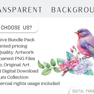 Set of 50, Watercolor Birds Clipart Bundle, Spring Birds Clipart, Birds ...