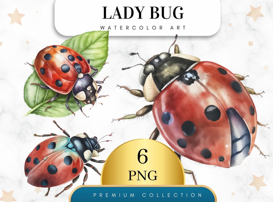 Set of 6, Watercolor Ladybug Clipart, Ladybug PNG, Boho Ladybug PNG ...