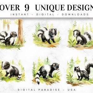 Set of 9, Skunk Forest Clipart, Skunk PNG, Woodland Animals PNG, Animal ...