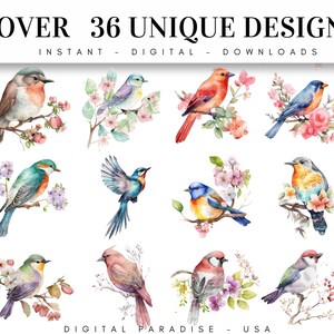 Set of 36, Watercolor Birds Clip Art, Colorful Birds Clipart, Spring ...