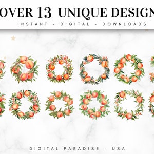 Set of 13, Watercolor Peaches Wreaths Clipart, Peach Clipart, Peach PNG ...