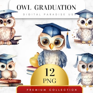 Set of 12, Owl Graduation Clipart, Owl PNG, Graduation Party Decor ...