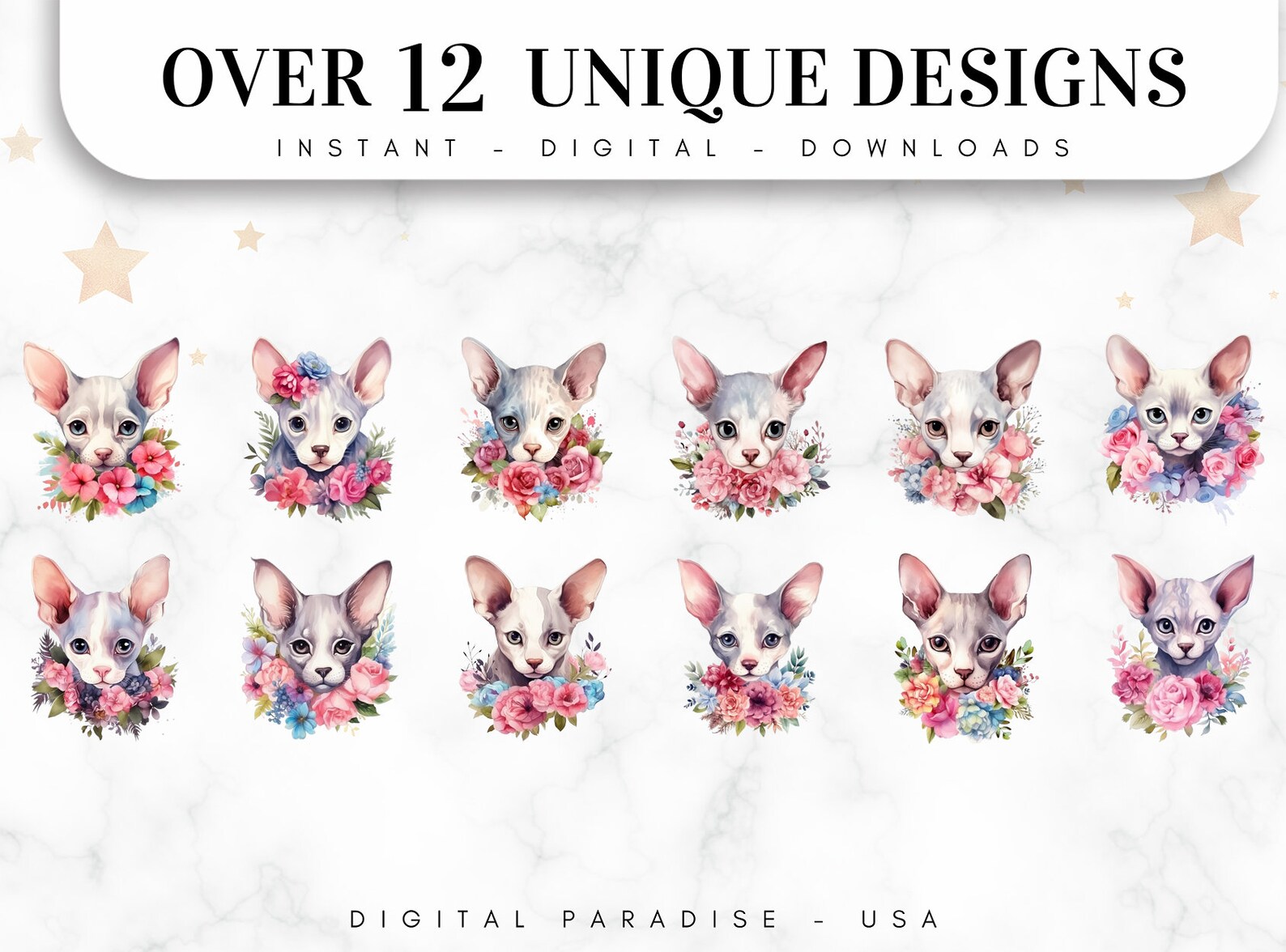 Set of 12, Floral Sphynx Cat Clipart, Sphynx Cat PNG, Floral Cat Art ...