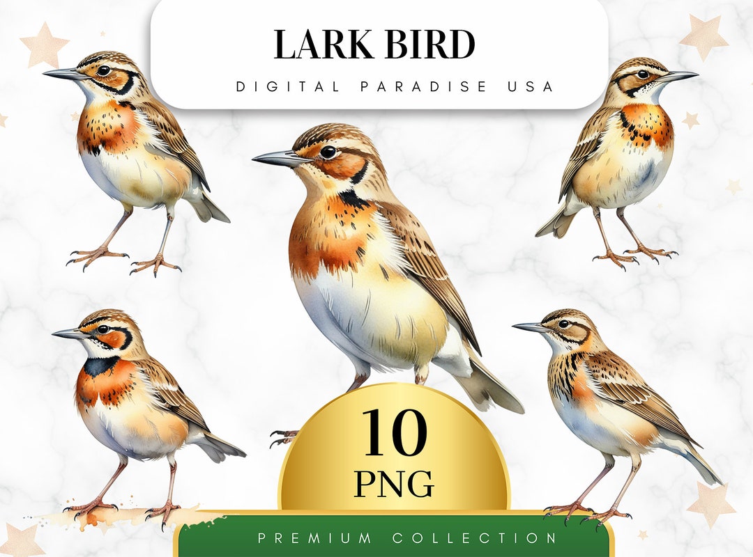 Set von 10, Lerche Vogel Clipart, Vogel PNG, Aquarell Vogel, Natur ...