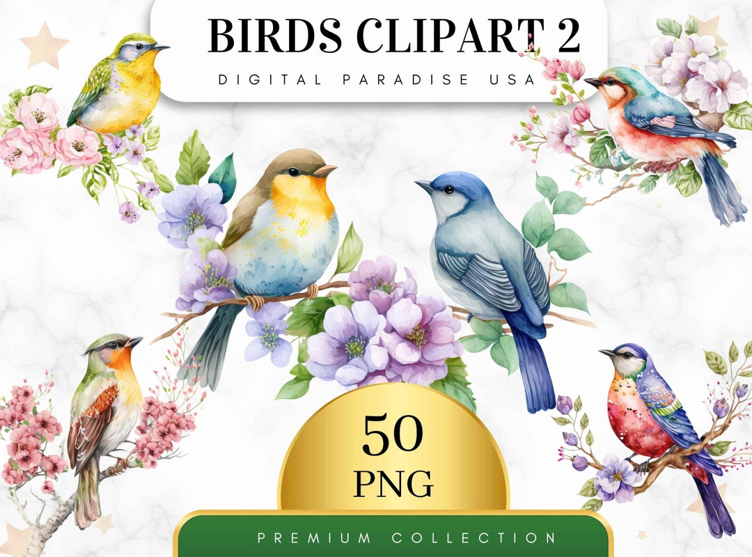 Set of 50, Watercolor Birds Clipart Bundle, Spring Birds Clipart, Birds ...