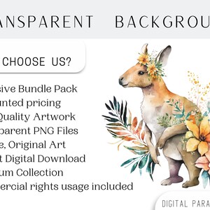 Set of 5, Watercolor Floral Kangaroo, Floral Kangaroo Png, Watercolor ...