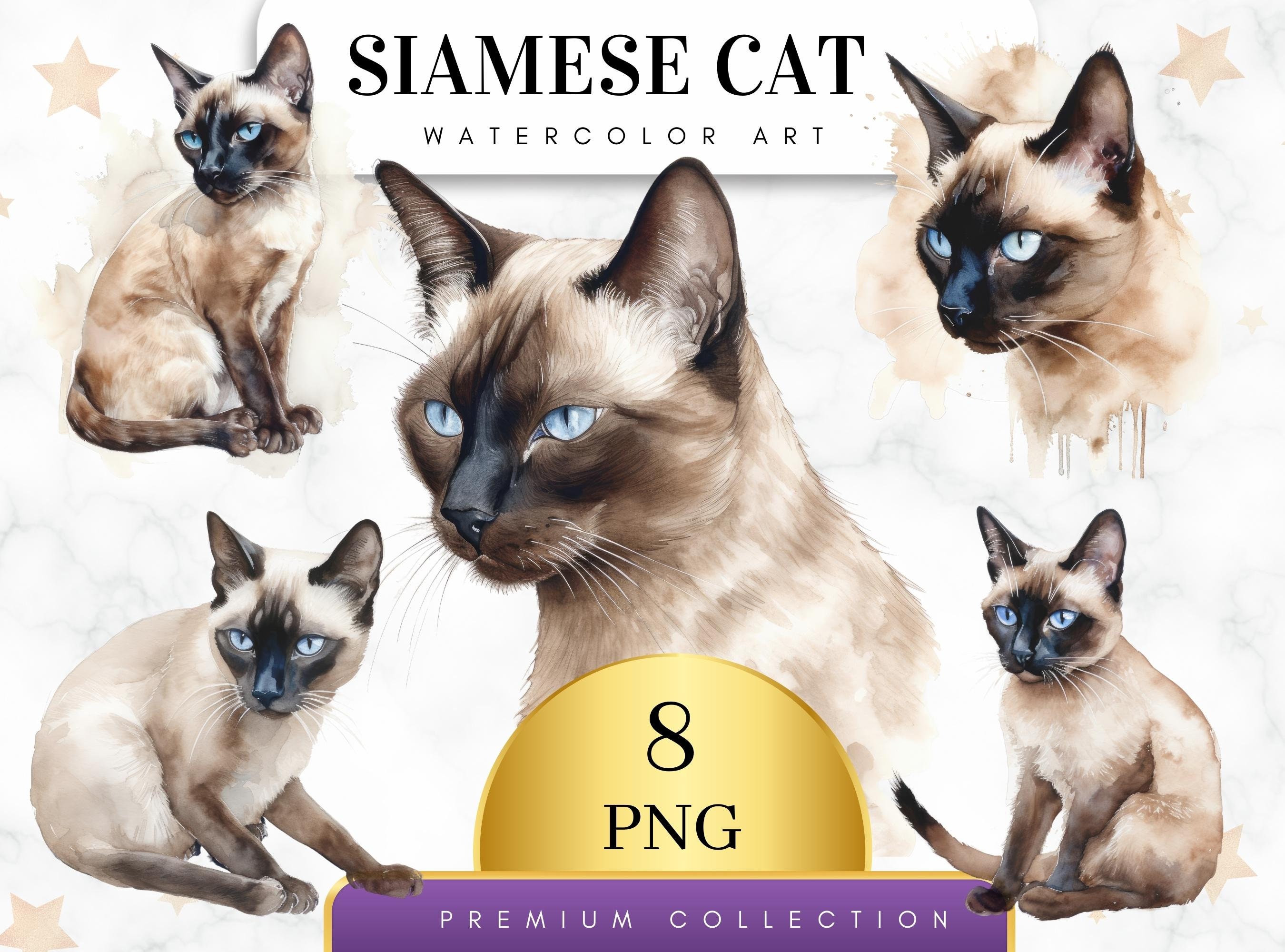 Siamese Cat Clipart