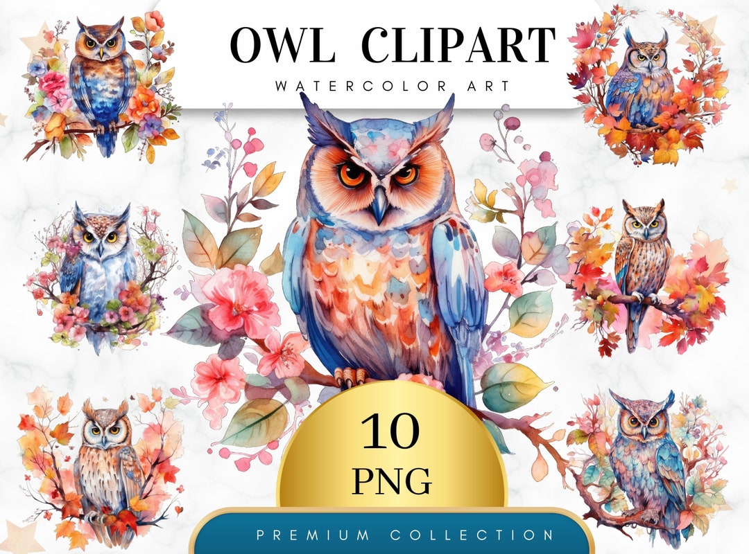 Set of 10, Watercolor Owl , Owl Clipart, Owl PNG, Owl Art, Owl Digital ...