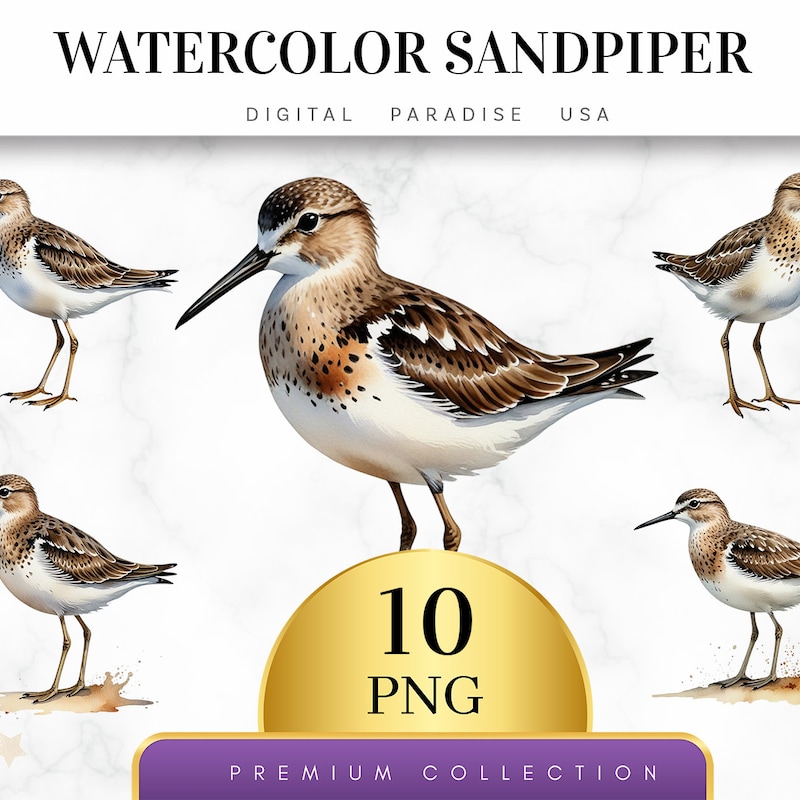 Sandpiper Art - Etsy